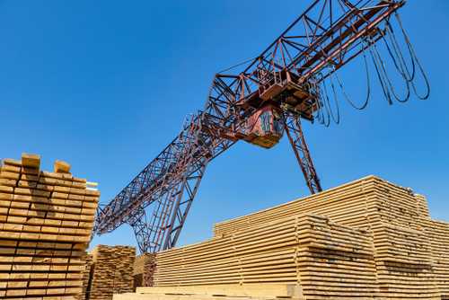 Cycloidal gear reducers for specialist applications - Transcyko